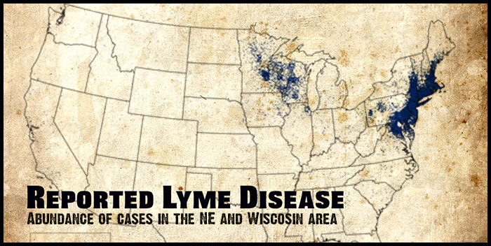 Lyme Disease - Untamed Science