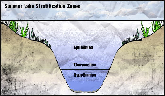 Lakes and Ponds Biome - Untamed Science