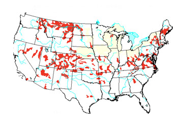 Northern Pike - Untamed Science