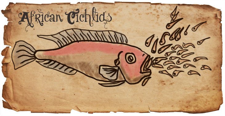 Unusual Animal Births - Untamed Science