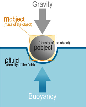 Buoyancy Science - Untamed Science