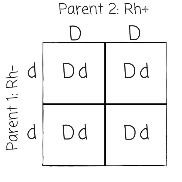 Mendelian Genetics - Untamed Science
